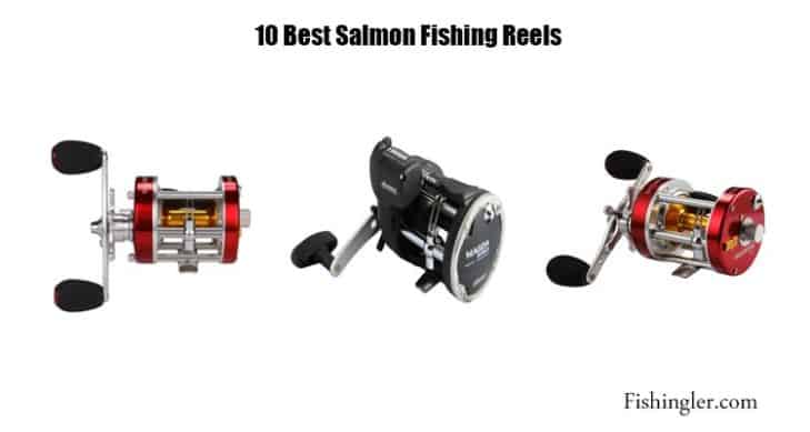 10 Best Salmon Fishing Reels Reviews ( Feb. 2020 )